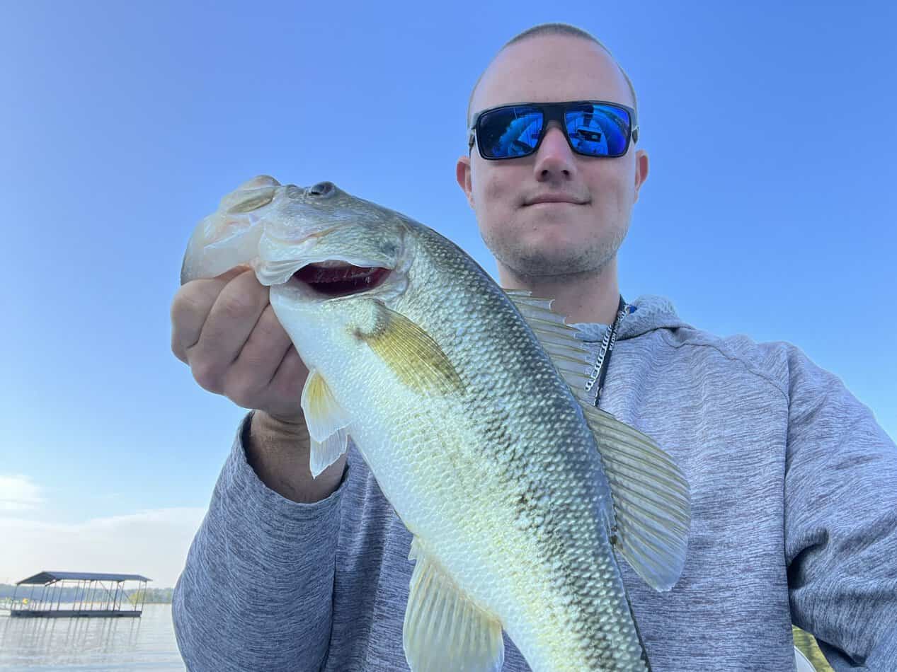 Daily Lake Hartwell Fishing Report for June 19th, 2023 - Fishing4Dummies